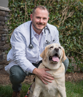 Hambright Animal Hospital: Top Rated Huntersville Veterinarians
